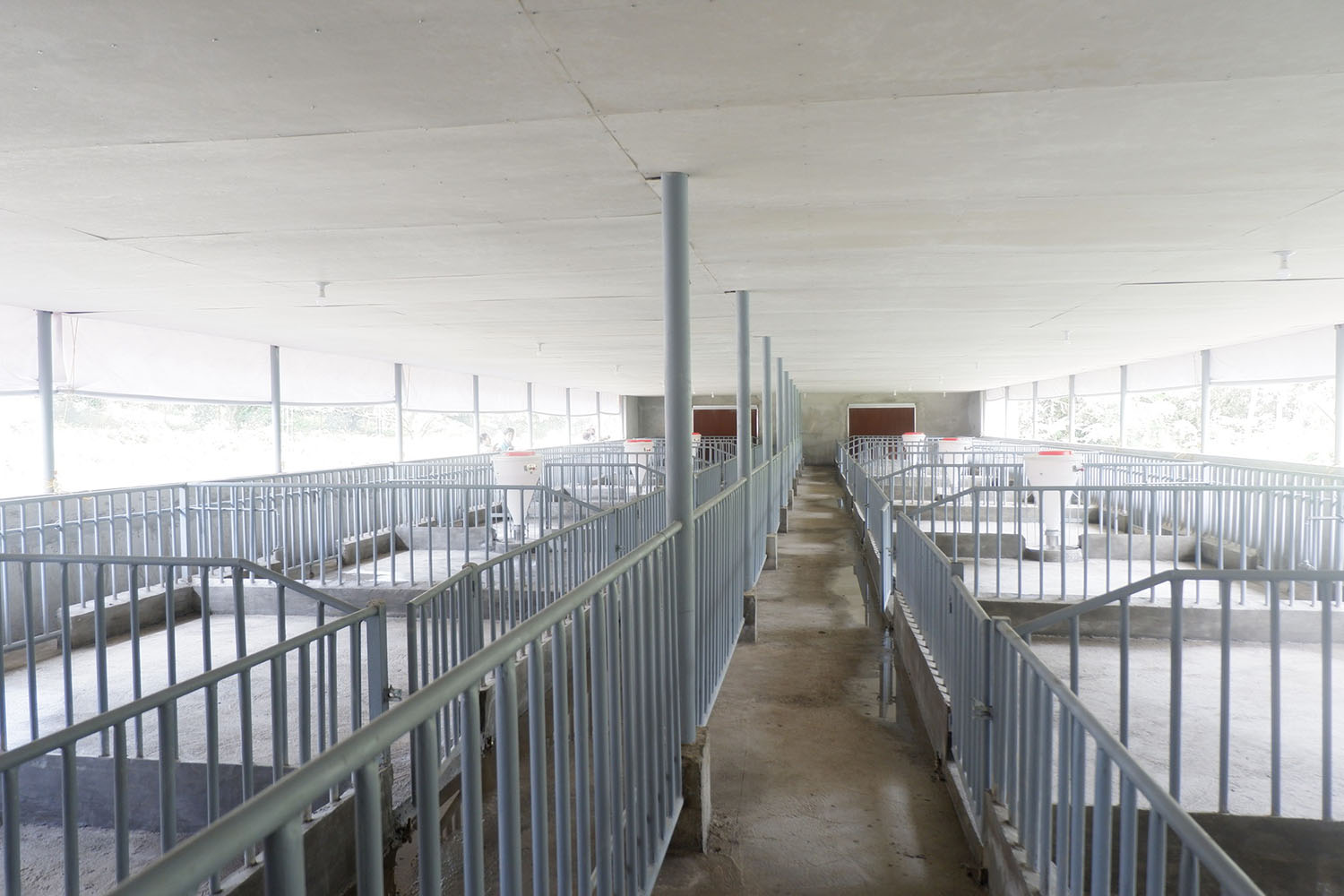 Bio-secured and Climate-controlled Finisher Operation Facilities mula ...