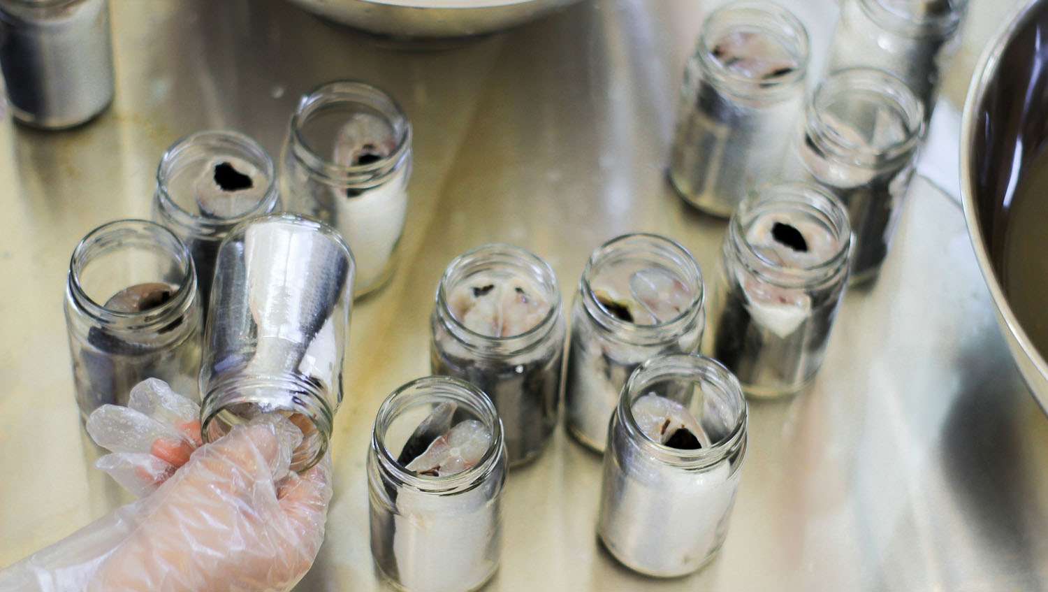 BFAR 4A nagsagawa ng pagsasanay ukol sa ‘Fish Processing’ - Kamakailan ...