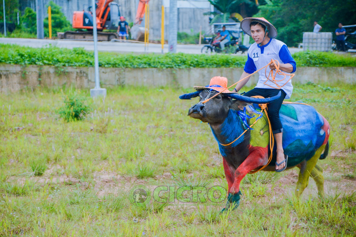 Karera ng Kalabaw sa Mayohan Festival, isinagawa - Pagalingan sa ...