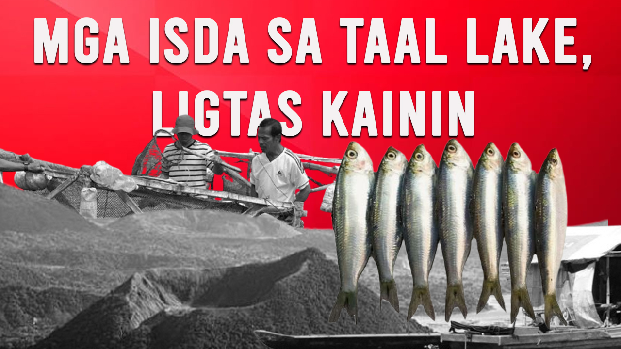 Mga isda galing sa Taal Lake, ligtas kainin ayon sa BFAR - Apektado ...